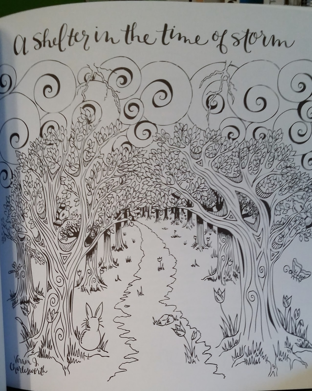 Quixotic Magpie: Coloring Book Review: Whatever is Lovely