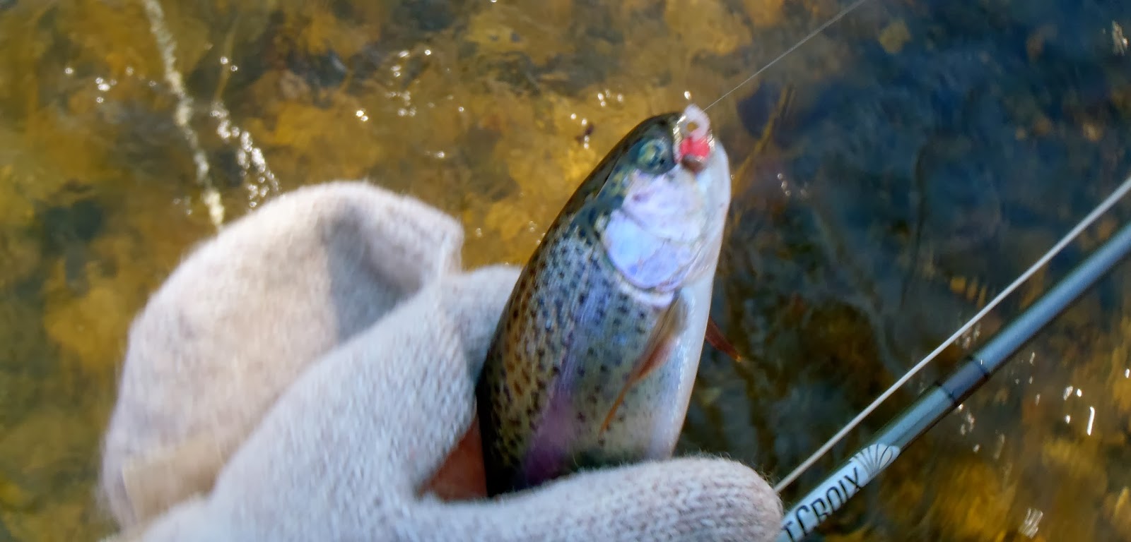 The Rogue Outdoors: Current River