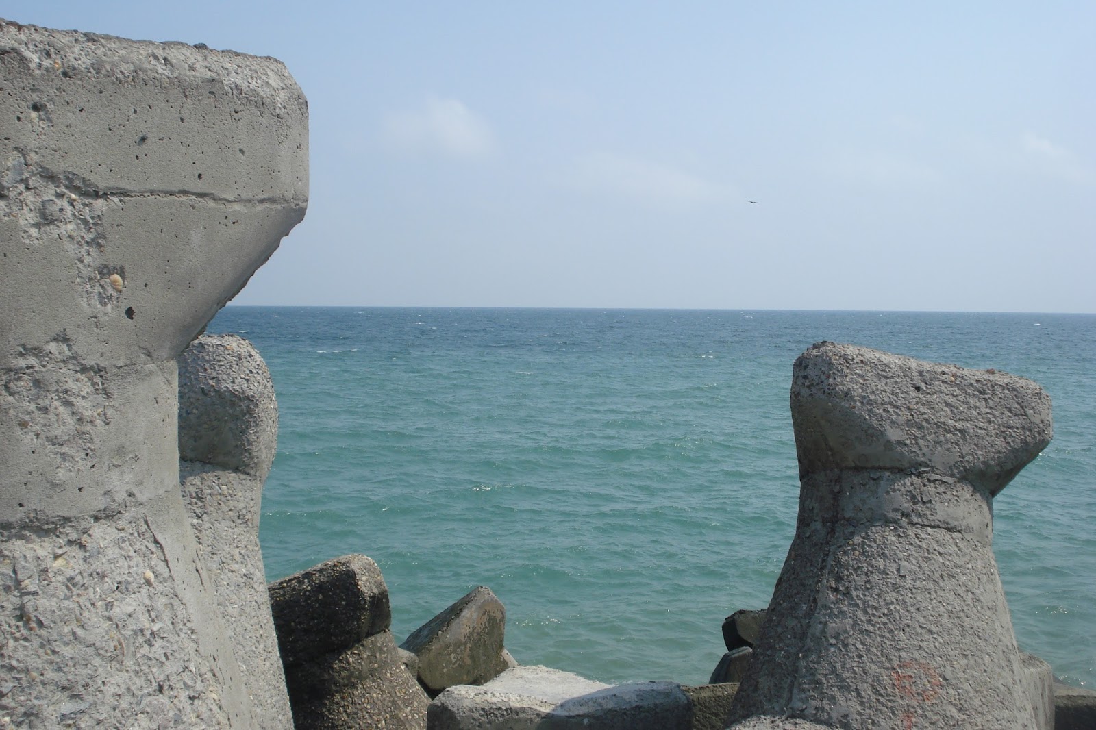 Horincar-Roman Raluca