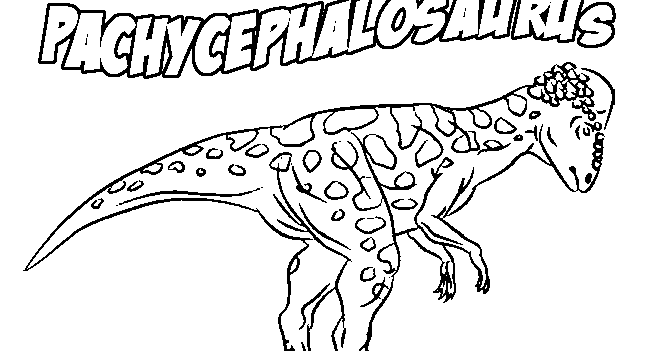 Swiss-sharepoint: Pachycephalosaurus Coloring Pages