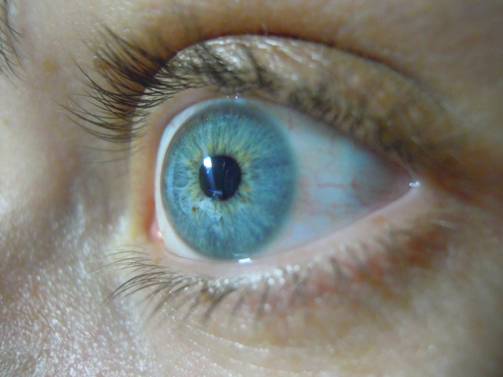 Sciencuriosities: El Iris: tan bello como interesante