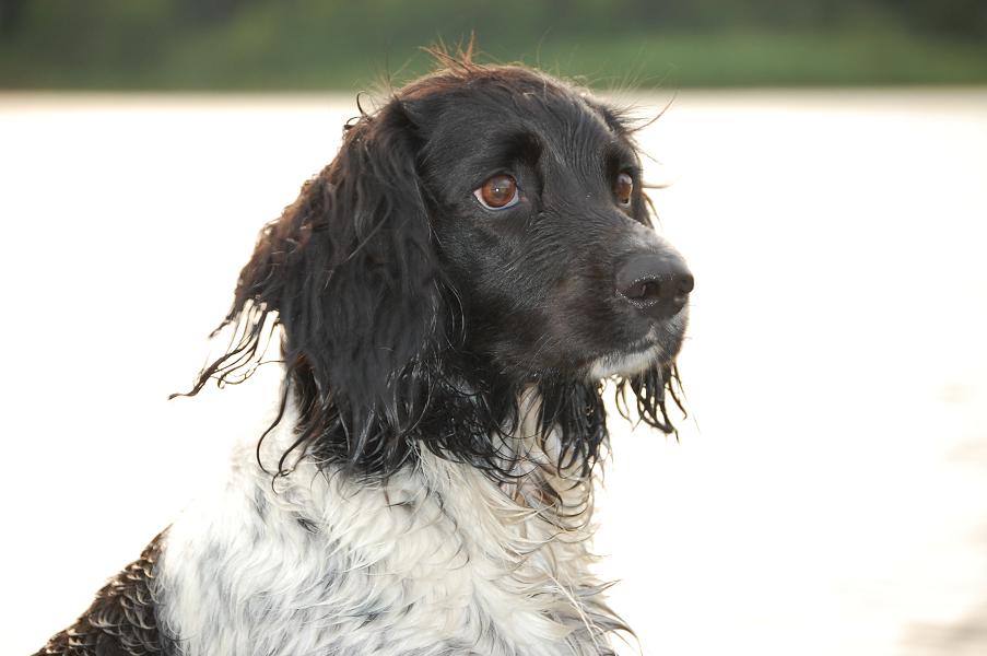 FOTOGRAF MARKUS SANDBERG