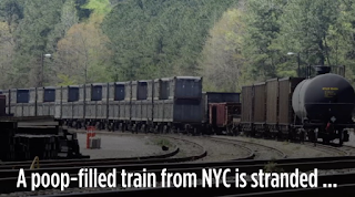 Shitterbug: Poop Train