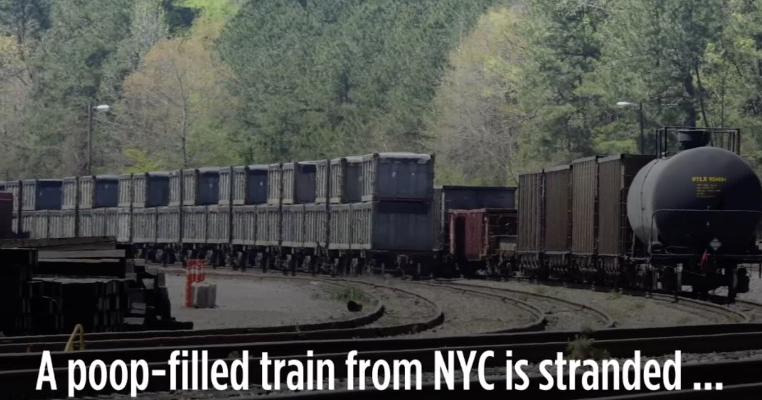 Shitterbug: Poop Train