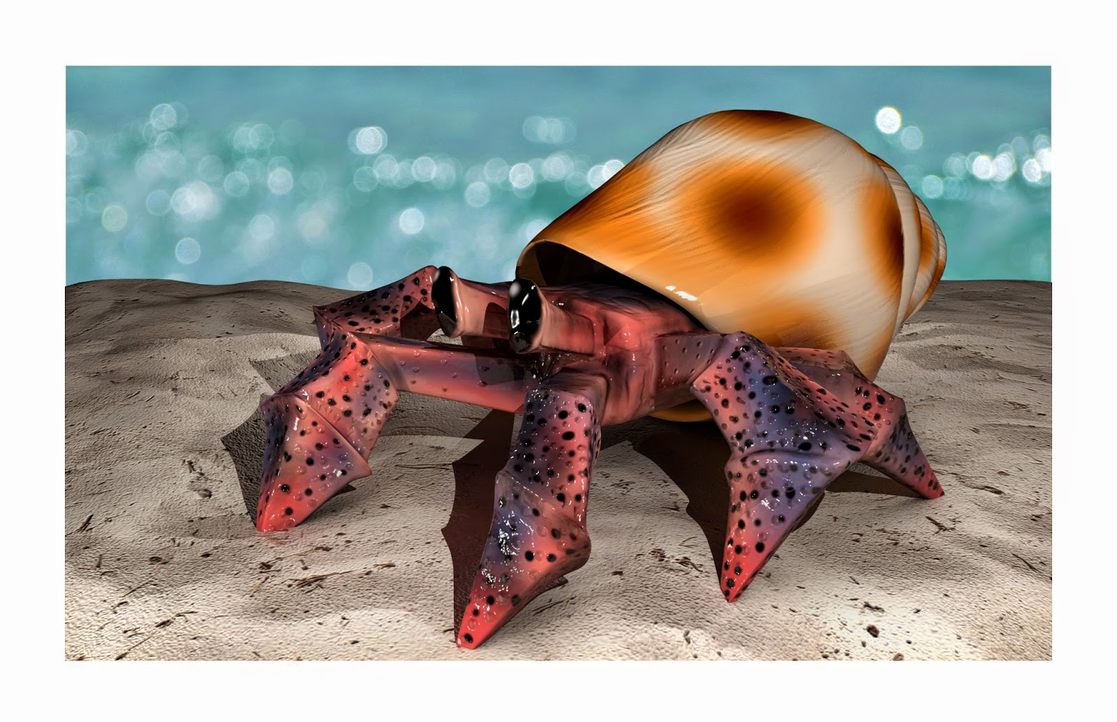 Maryse Verrette: Insecte - Bernard l'hermite