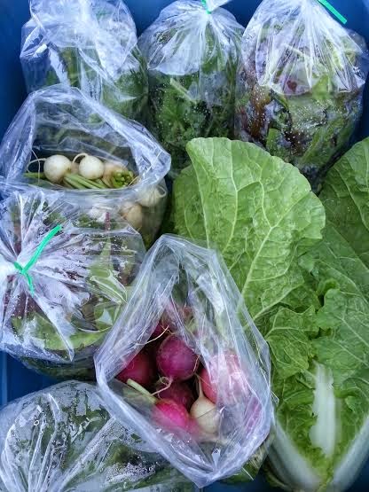 Jen and Derek's Farm Fresh Veggies
