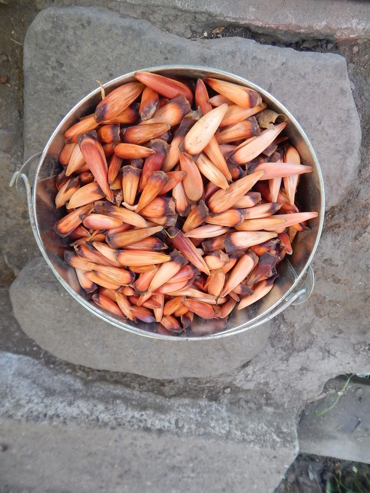 Cocina Chilena . Recetas Caseras: Piñones con Quinoa