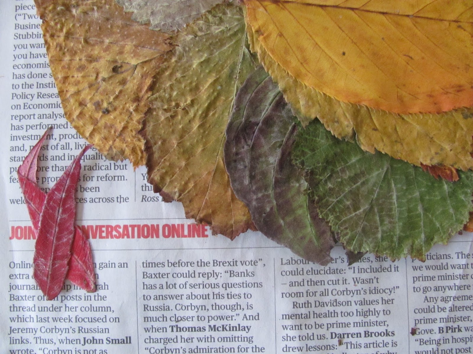 Jumble Tree: Leaf art using paper plates