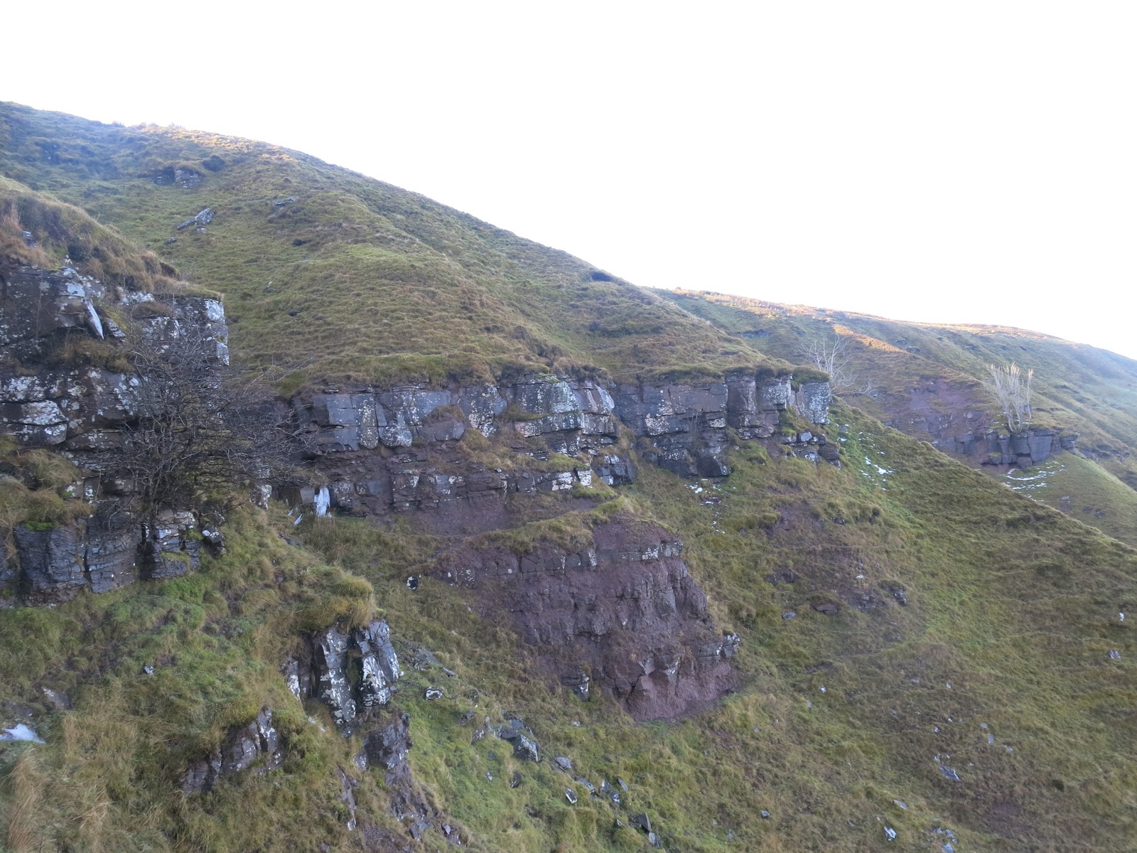 South Wales Bryophytes: Days in the Black Mountains - 2 Rhos Dirion ...