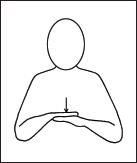 Baby Ducks: Makaton Signs