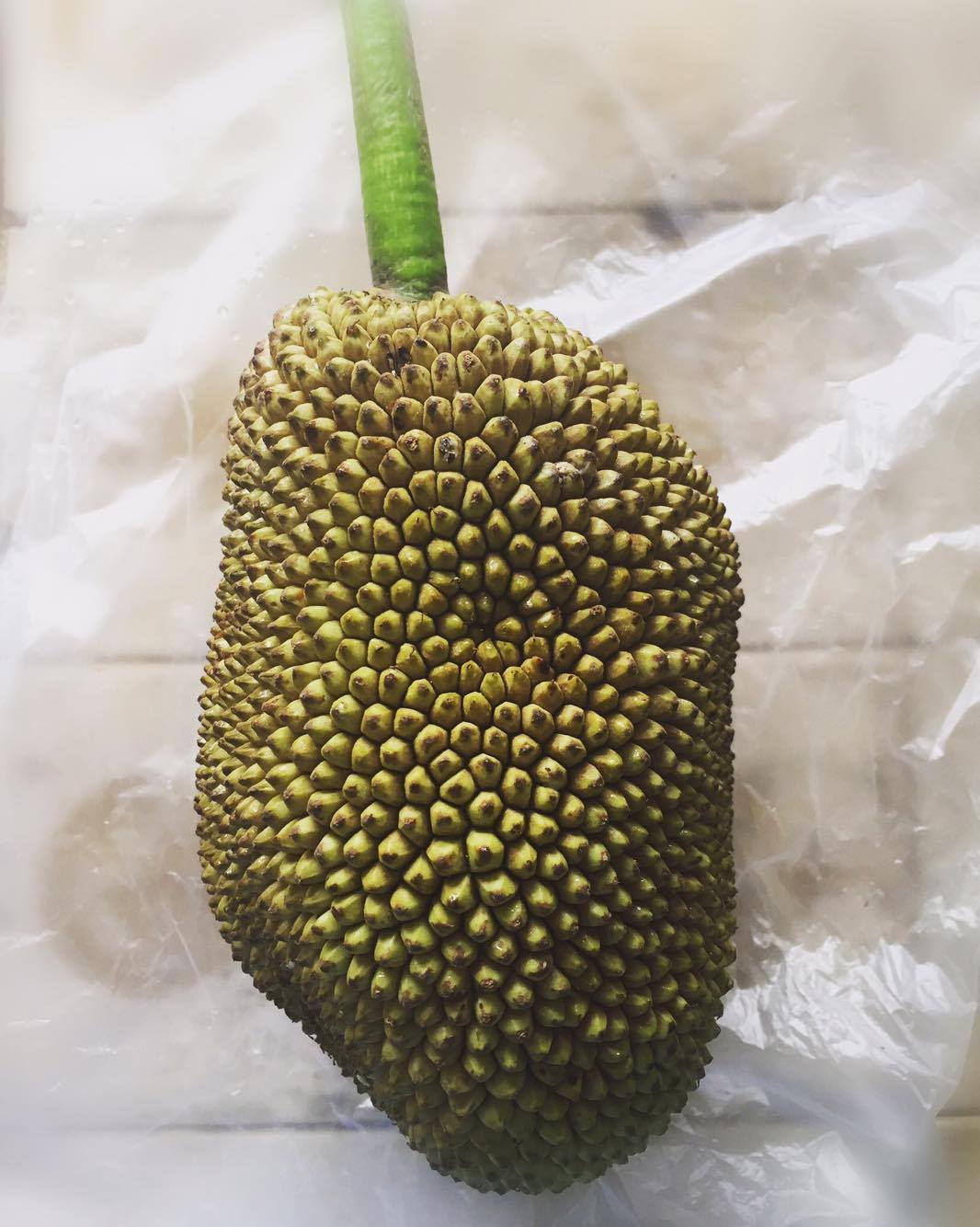 Adukalaii - My Kitchen : Cheema Chakka Curry