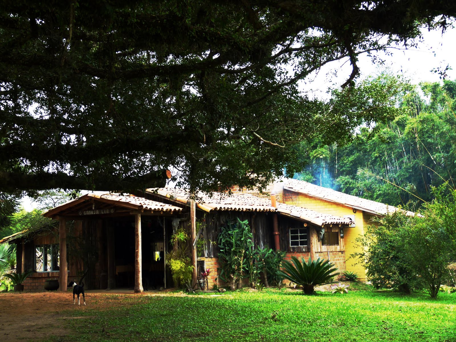 NAU DOS SONHOS: FOTOS DE UM TOUR PELA ZONA RURAL DE PORTO ALEGRE!