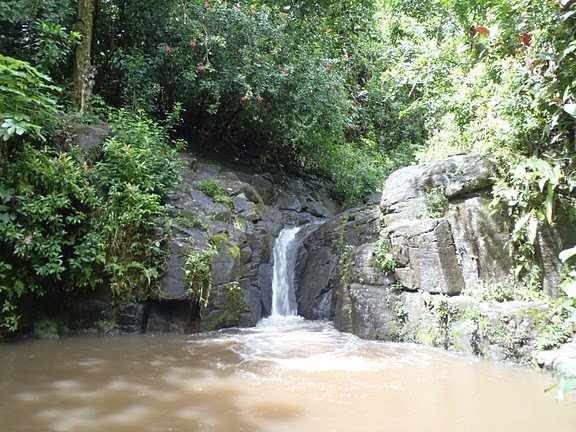 Ecomarcheurs de Papara: 20 01 2011 VAIUMETE à PAPEARI