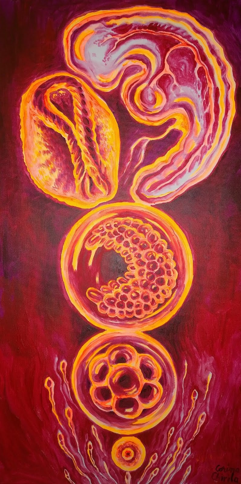 ♥*CORinAZONe ART- The art of Corina Chirila*♥*:...: The stages of the ...