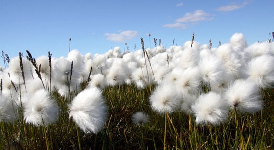 Nunta cu stil: Aniversarea casatoriei & cadourile aferente fiecarei ...