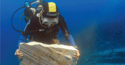 Bubonic plague, inbreeding Neanderthals and shipwrecked marble for a ...