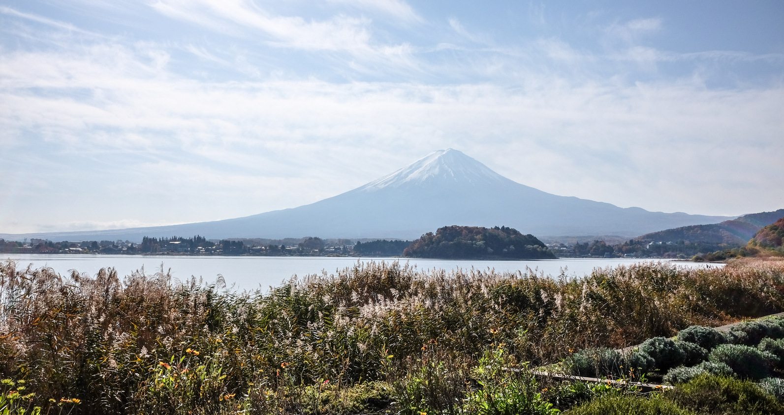 Eat Drink KL | Mount Fuji Soft Serves @ Japan