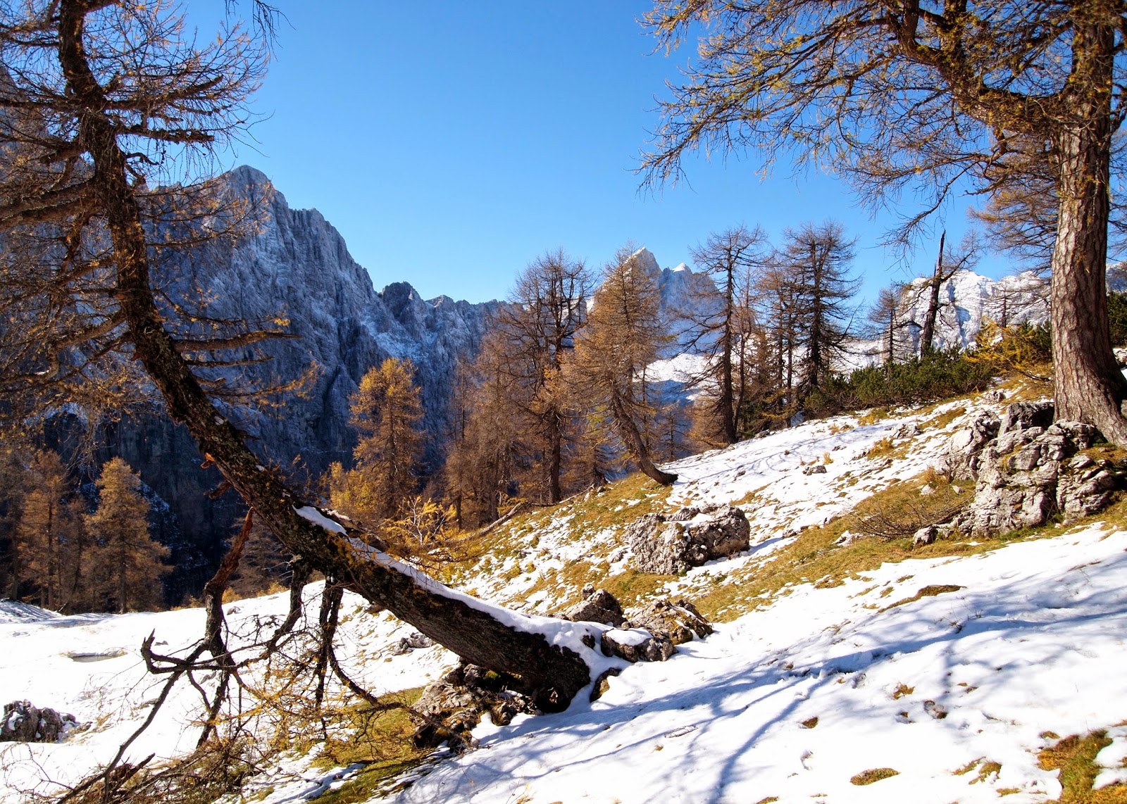 Svet pod lahkimi koraki: 10/01/2014 - 11/01/2014