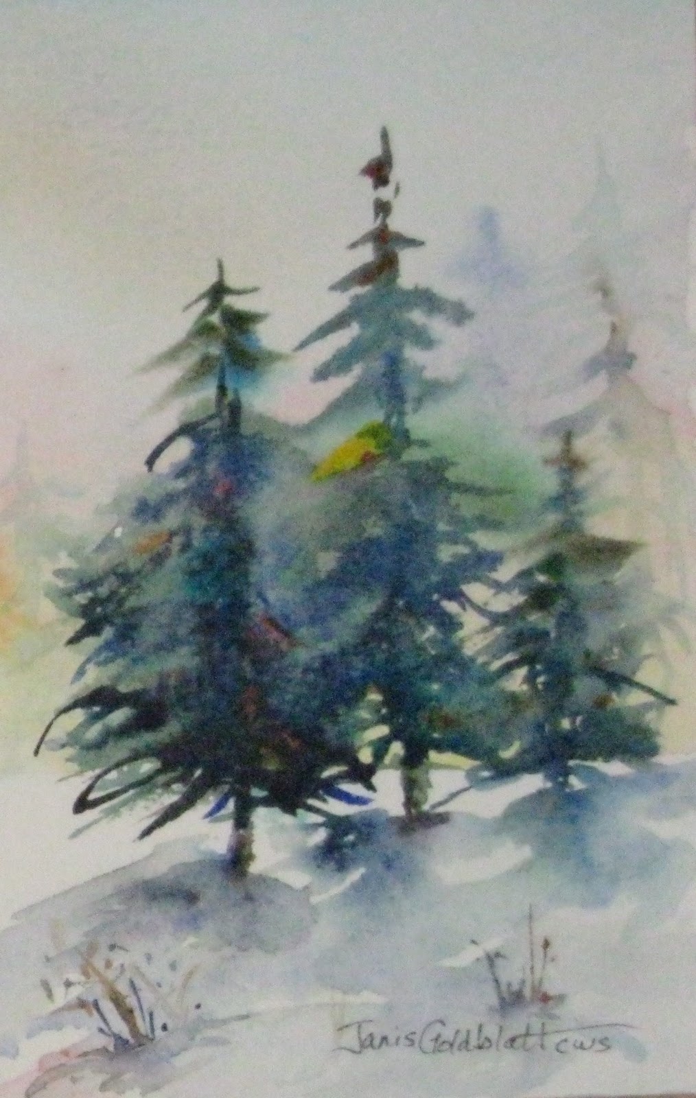 Janis Goldblatt's Art Blog: Evergreens (#3 in series)