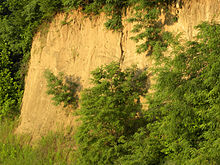 Landforms in the World: Aeolian Landform (11. Loess)