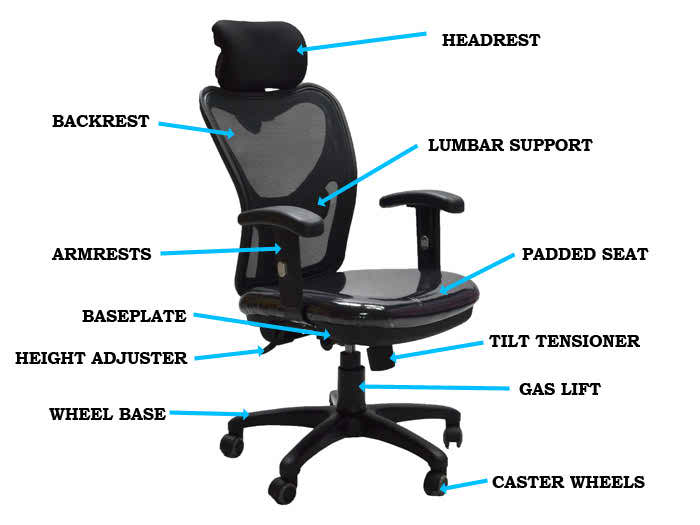 Office Chairs: Office Chair Anatomy