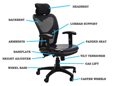Office Chairs: Office Chair Anatomy