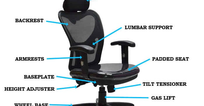 Office Chairs: Office Chair Anatomy
