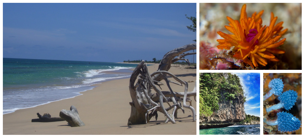 12 Tempat Wisata PULAU TALIABU yang Wajib Dikunjungi - Provinsi Maluku ...