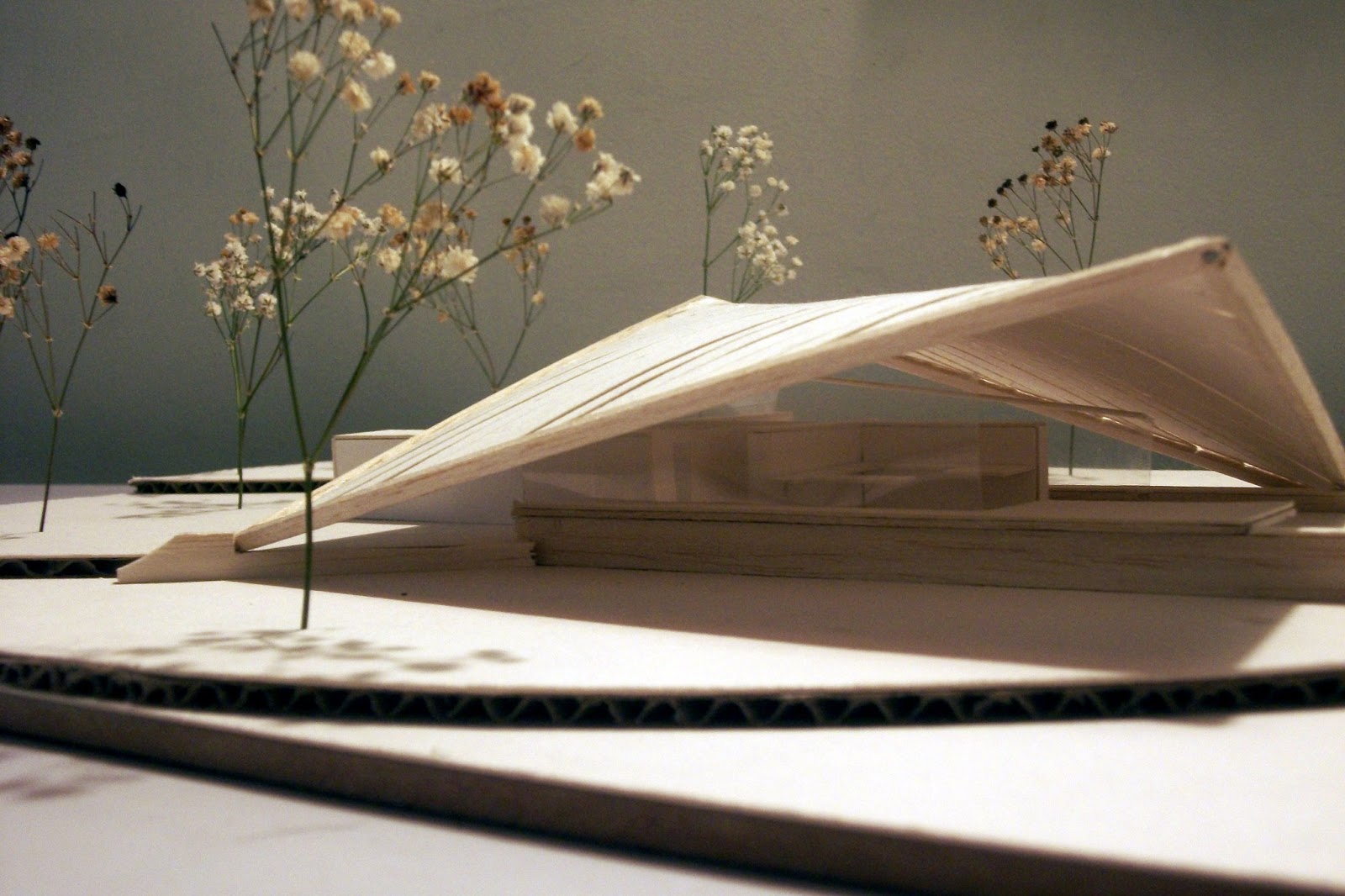 arquitecturadelacasa: CASA CATALANO