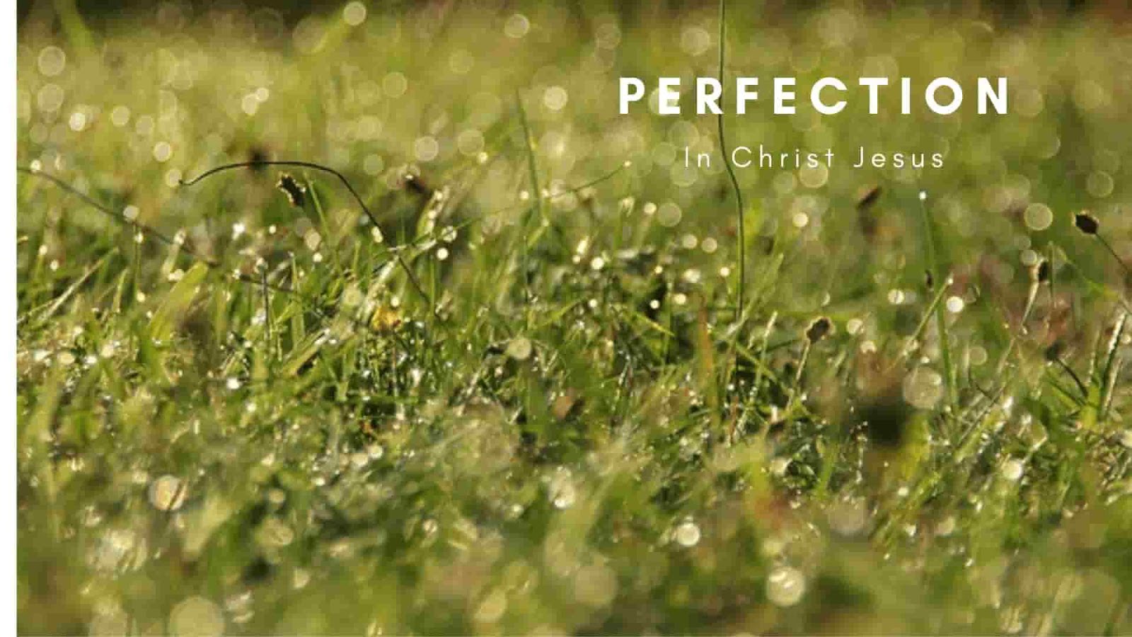 Perfection In Christ Jesus | Christianity Quotes