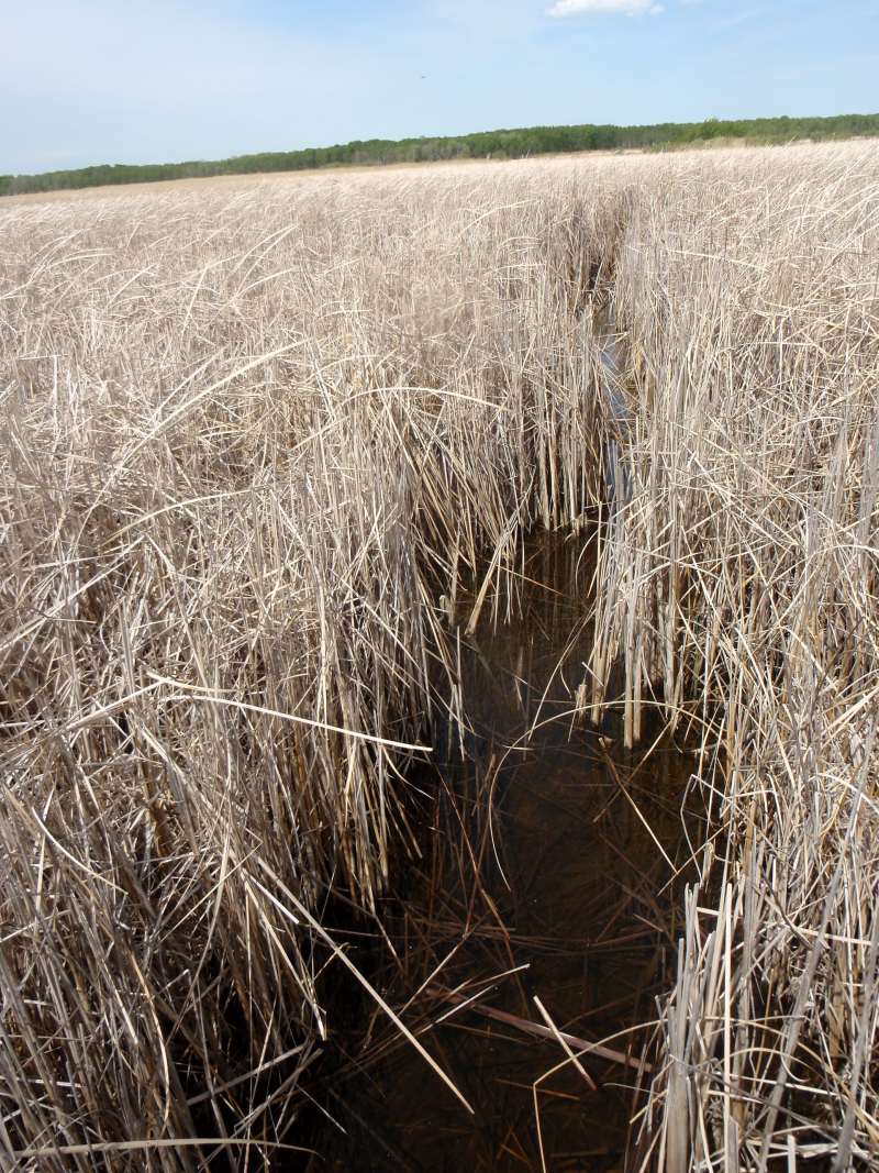 Take a Hike: Moosehorn Weekend