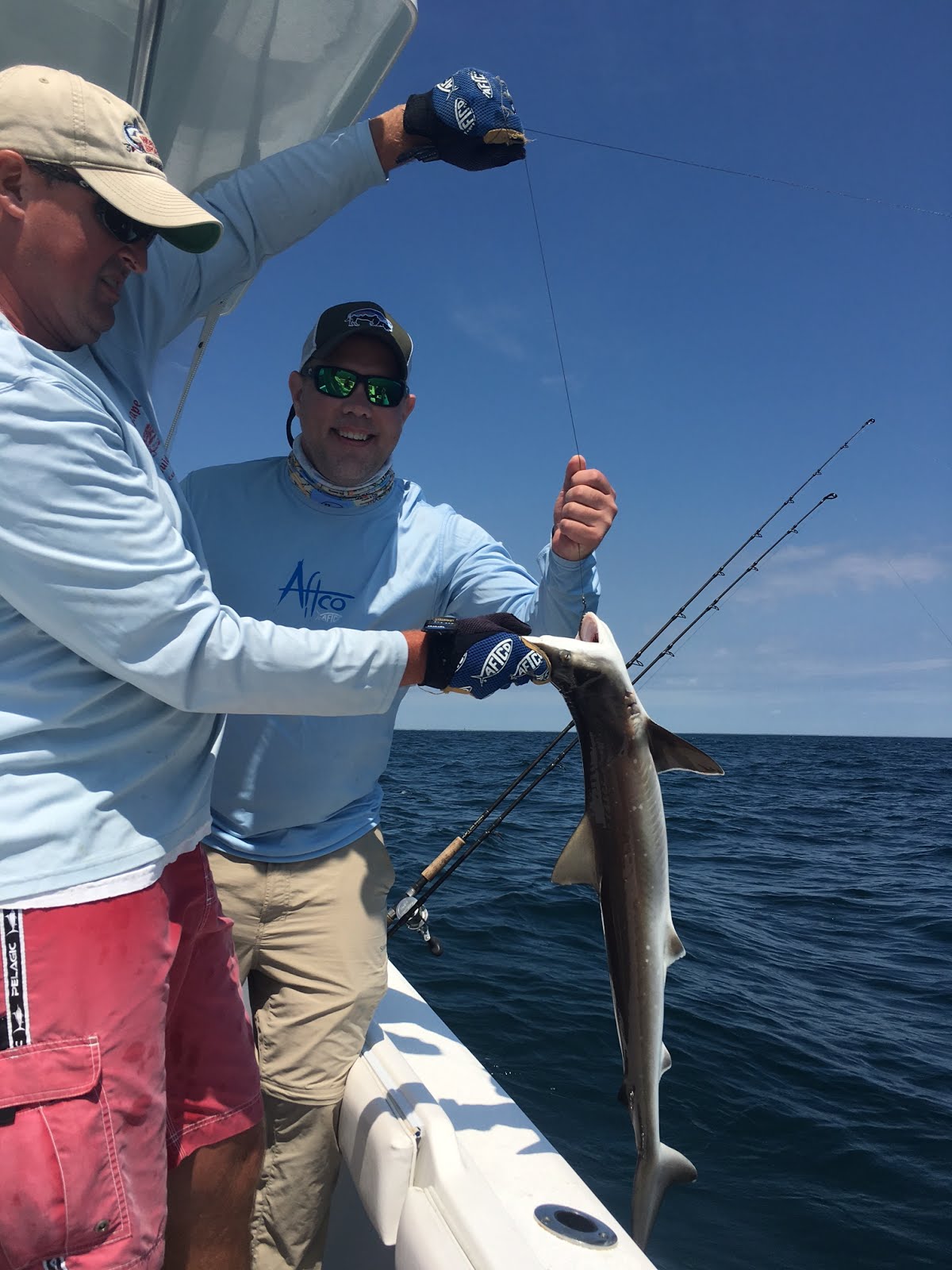 Jersey Cape Guide Service: 100 Pound Shark