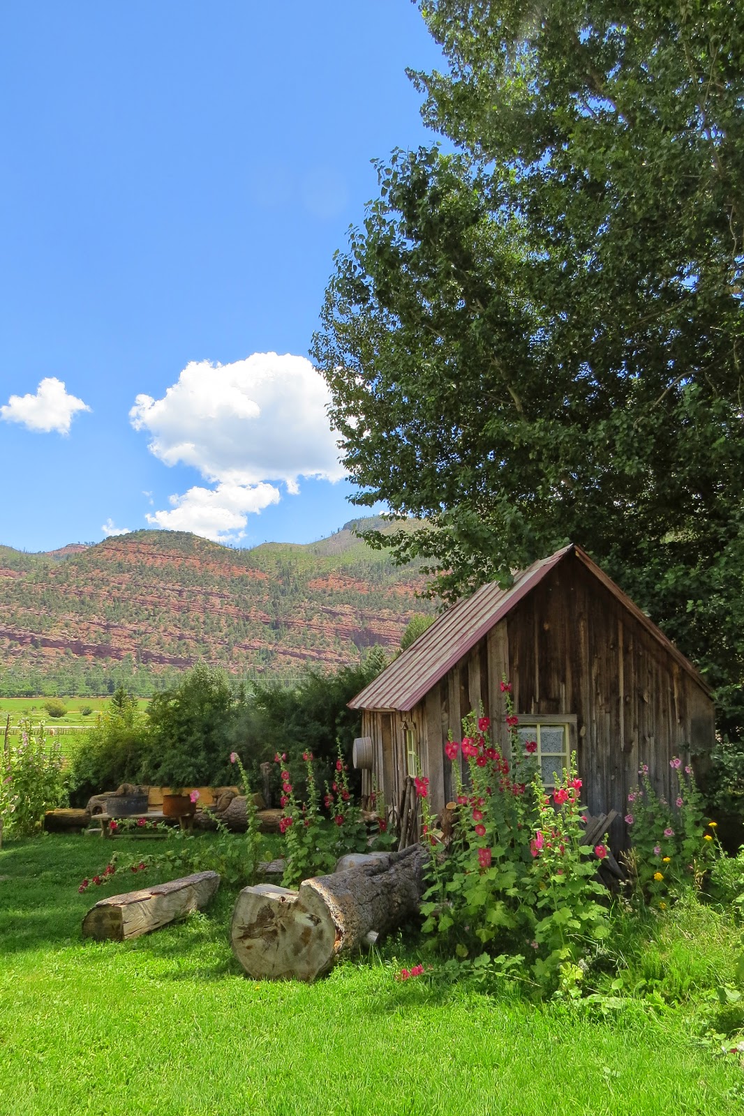 Durango Daily Photo: Down on the Ranch