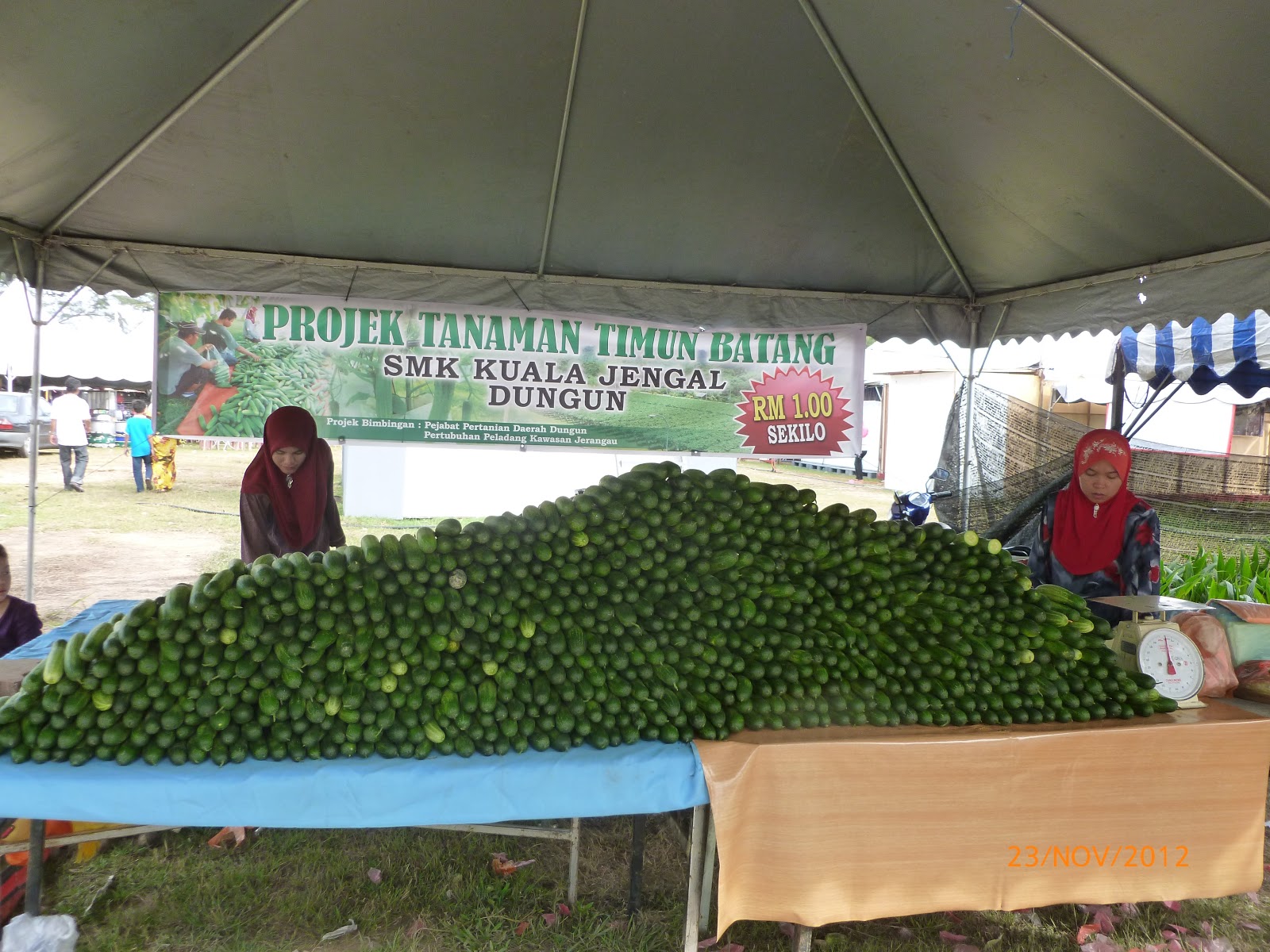 OBO: Projek Tanaman Timun Fertigasi Terbuka Di SMK Kuala Jengal, Dungun ...
