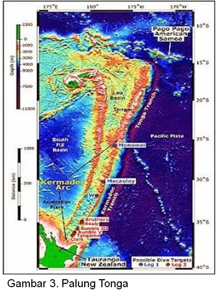 BERBAGI ITU INDAH. COM: PENGERTIAN DAN DISTRIBUSI PALUNG