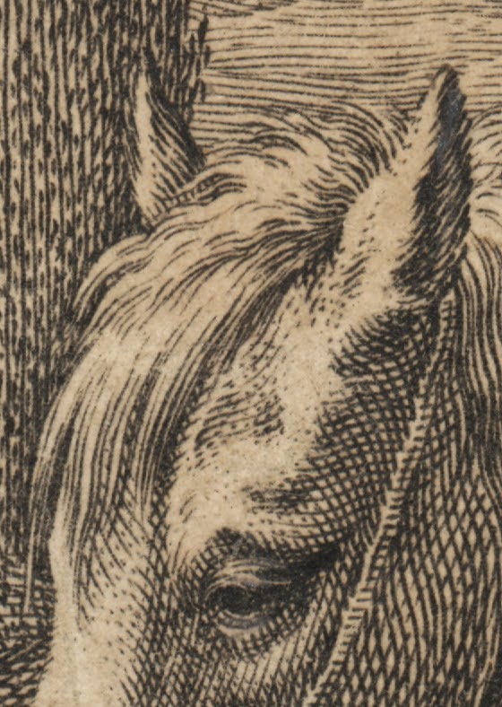 Drawing Class: Cross Contours and Hatching.