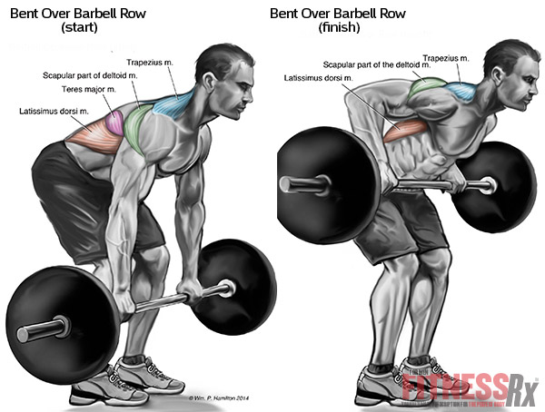 Shoulder / ПЛЕЧИ: The Top Exercises For The back muscles
