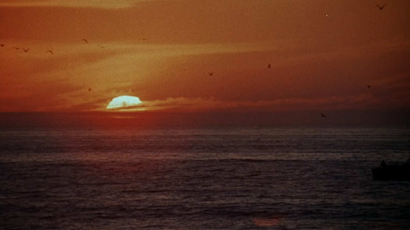 F This Movie!: Back to 1976: LIFEGUARD