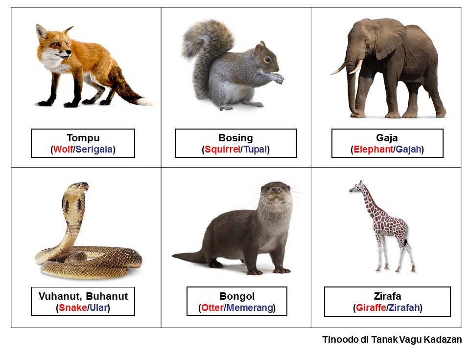 Tanak Vagu Kadazan Dusun: Tazam Tosizau (Wild Animals, Binatang Liar)