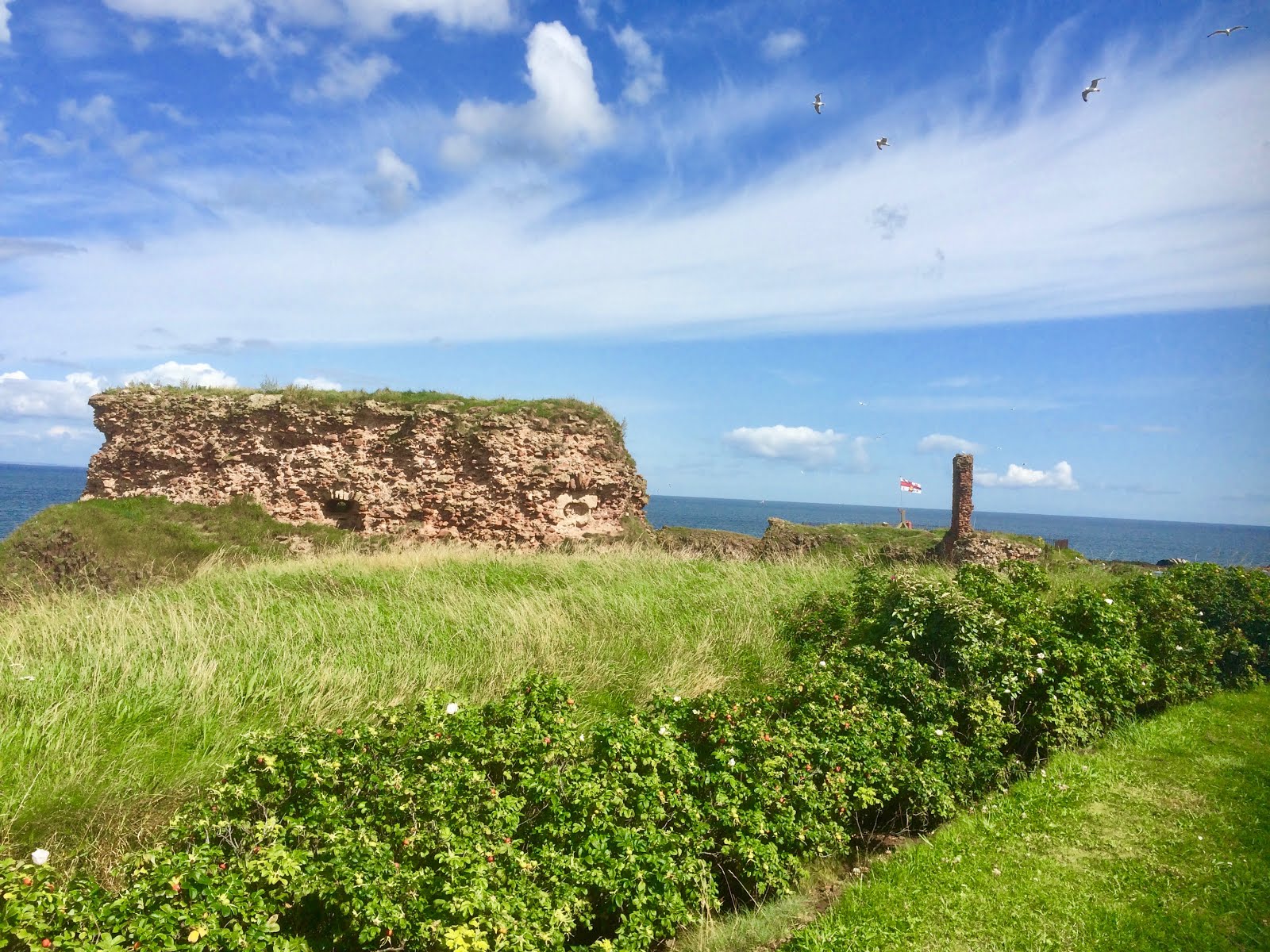 Days out in the Borders : Dunbar Castle