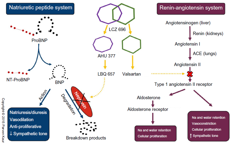Khanh's blog: THÔNG TIN VỀ ENTRESTO (sacubitril/valsartan)