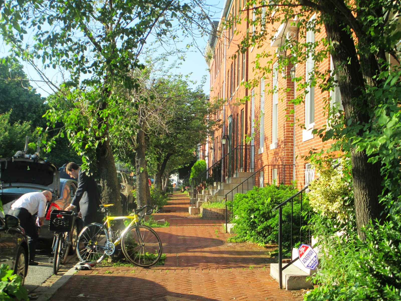 Baltimore You are Marvelous: Recreation