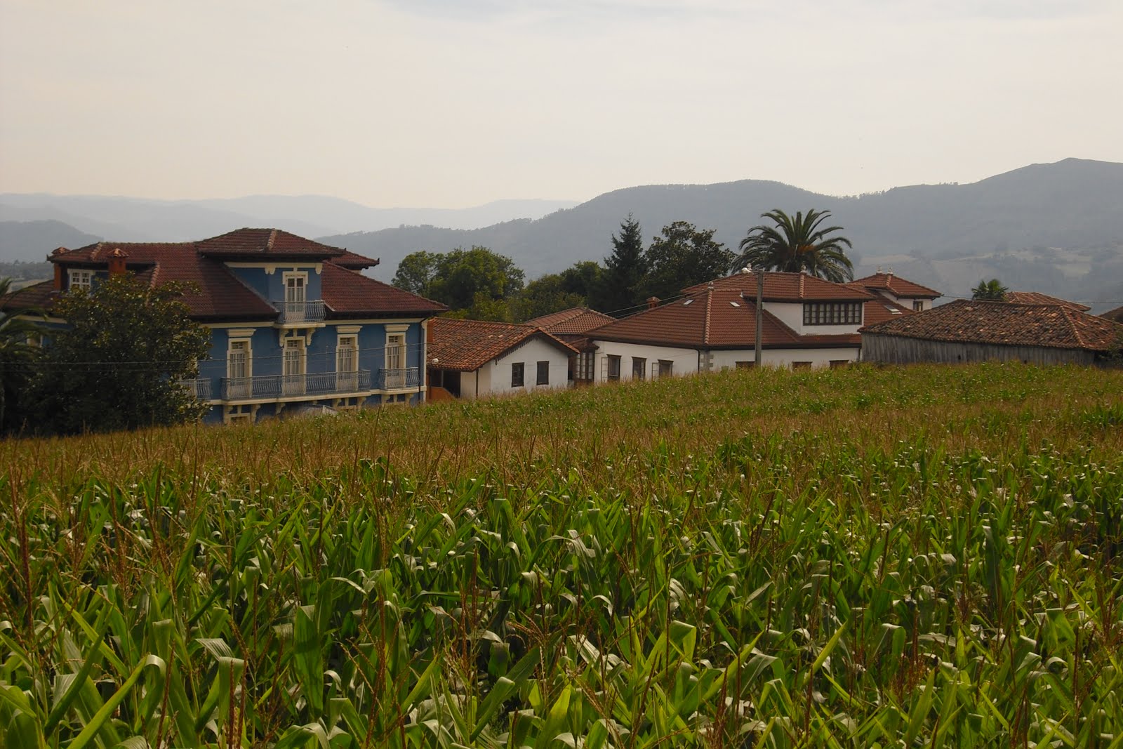 Caleyando Mundiu Alantre: Malleza