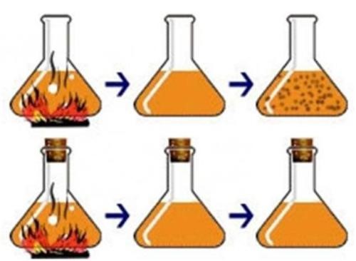 TEORÍA DE BIOGENESIS: TEORÍA DE BIOGENESIS