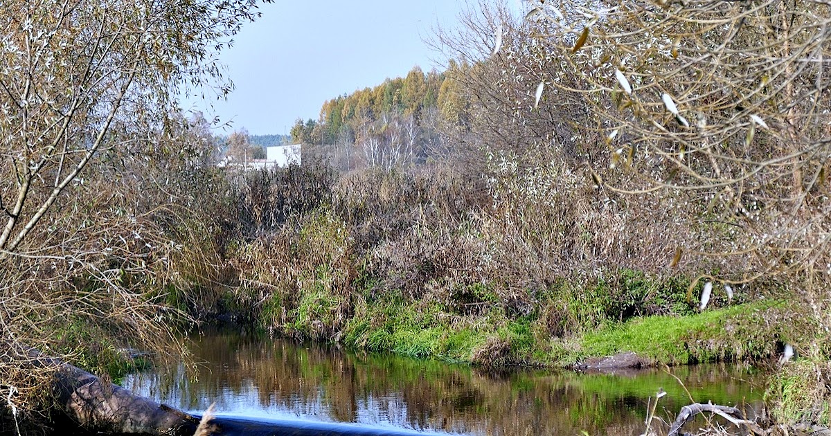 Płynie przez Kielce. Uchodzi do Bobrzy