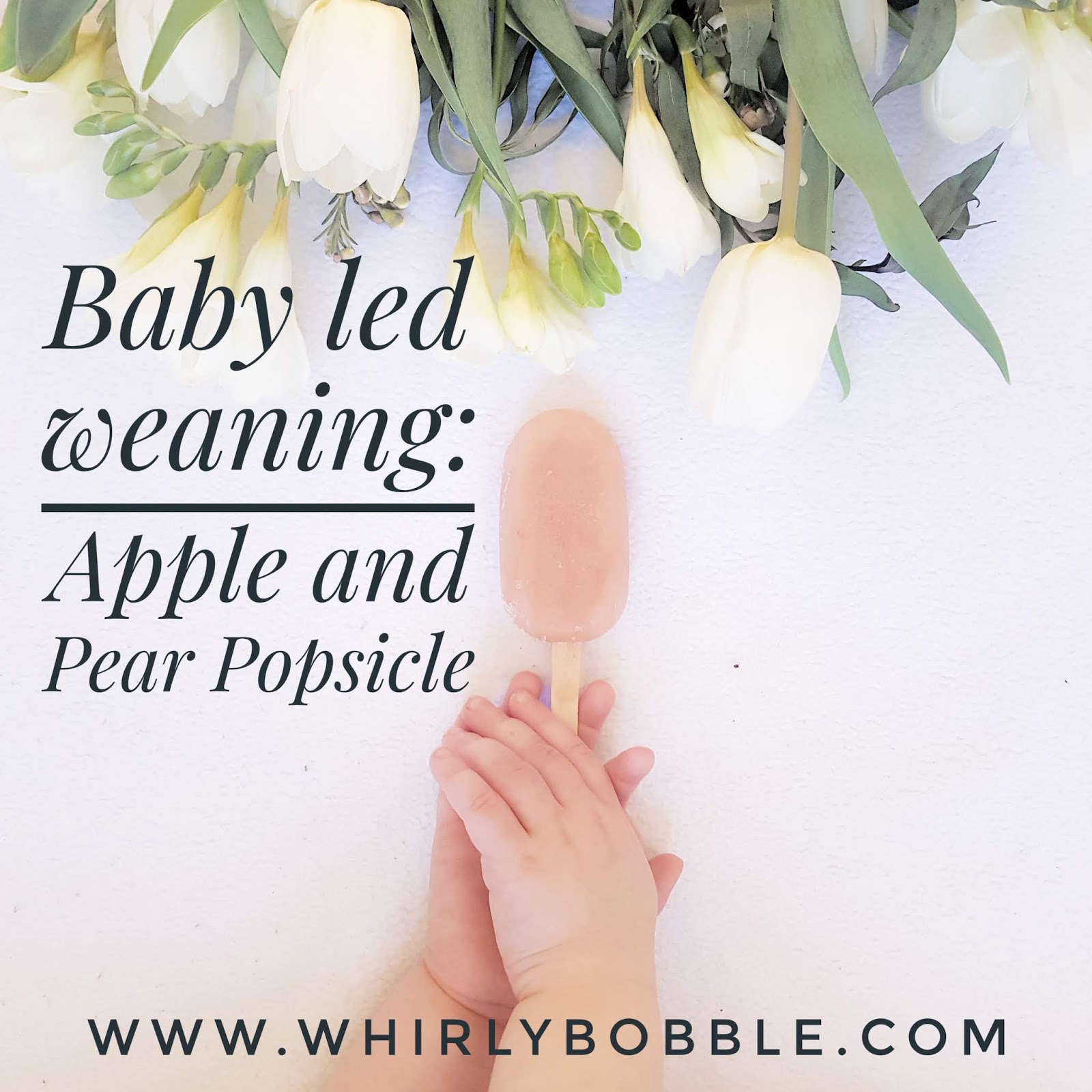 Baby Apple and Pear Popsicle/ Lollipop — Whirlybobble : Parenting ...