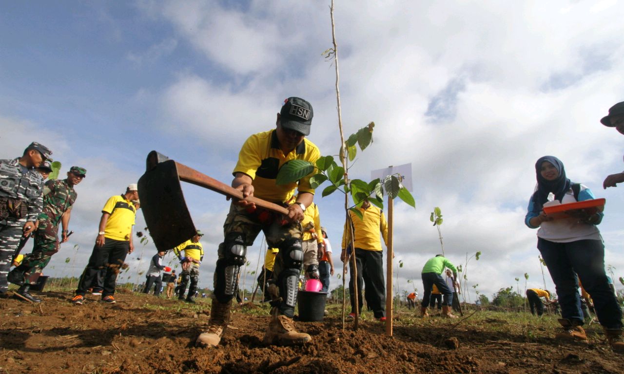 Peringatan Hari Bakti Rimbawan di Kalsel, Tanam 2.000 Pohon di Tahura Sultan Adam - Bingkai Banua