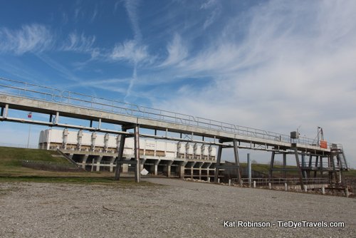 Tie Dye Travels with Kat Robinson - Author, Arkansas Food Historian, TV ...