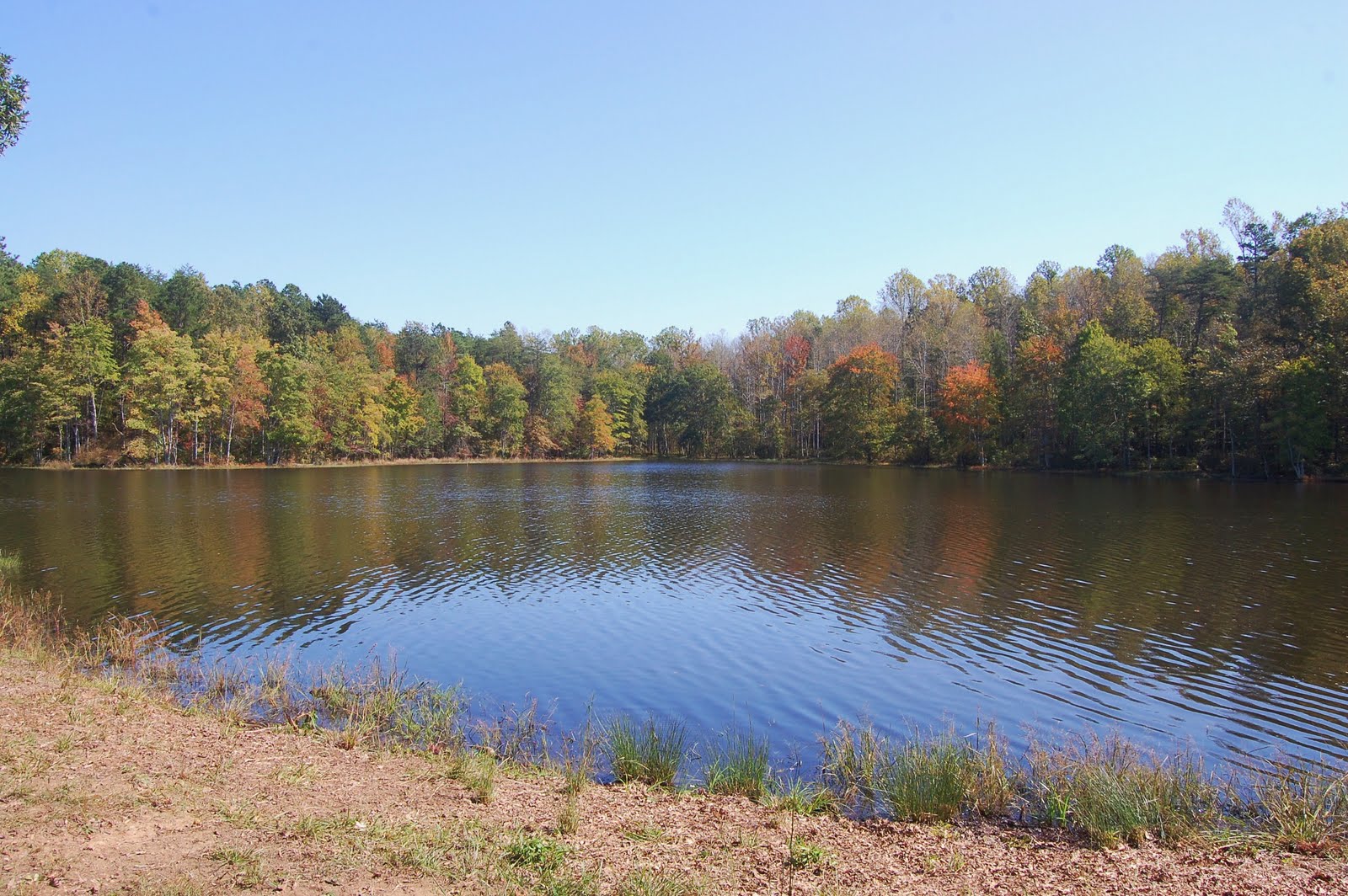 Bong in Virginia: LUNGA PARK IN MARINE BASE QUANTICO, VIRGINIA