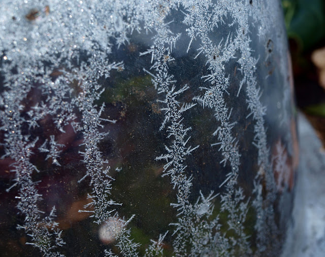 Mark's Veg Plot: Frost patterns - Nature's own artform
